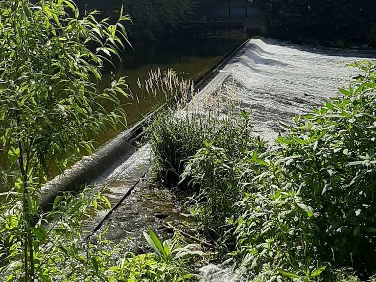 Die Freiberger Mulde in Ihrem Glanz: Radtouren und Radwege | komoot