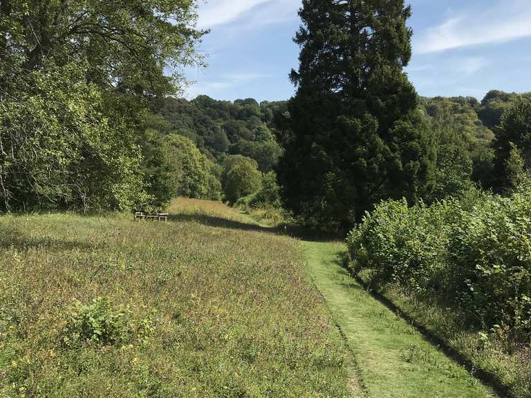 Warburg Nature Reserve Routes for Walking and Hiking | Komoot