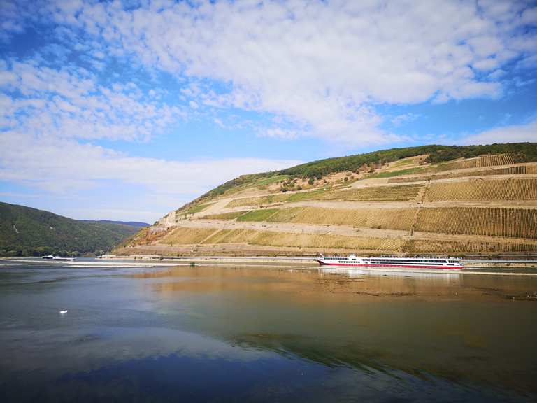 Rhein-Nahe-Eck in Bingen : Radtouren und Radwege | komoot