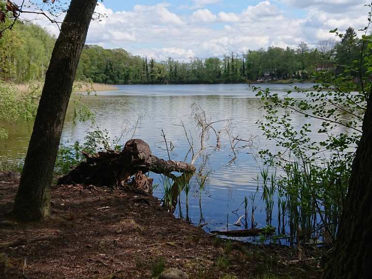 Kleiner Seddiner See: Wanderungen und Rundwege | komoot