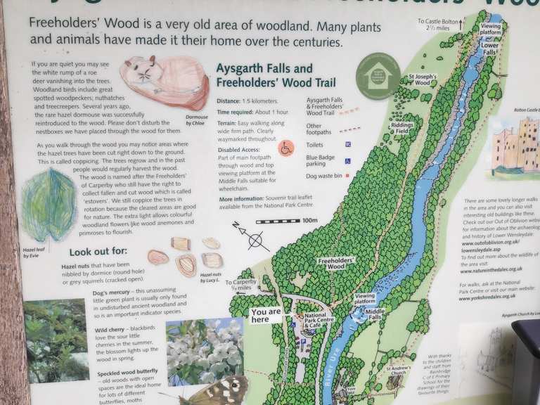 Bolton Castle – Aysgarth Lower Falls loop from Redmire | hike | Komoot