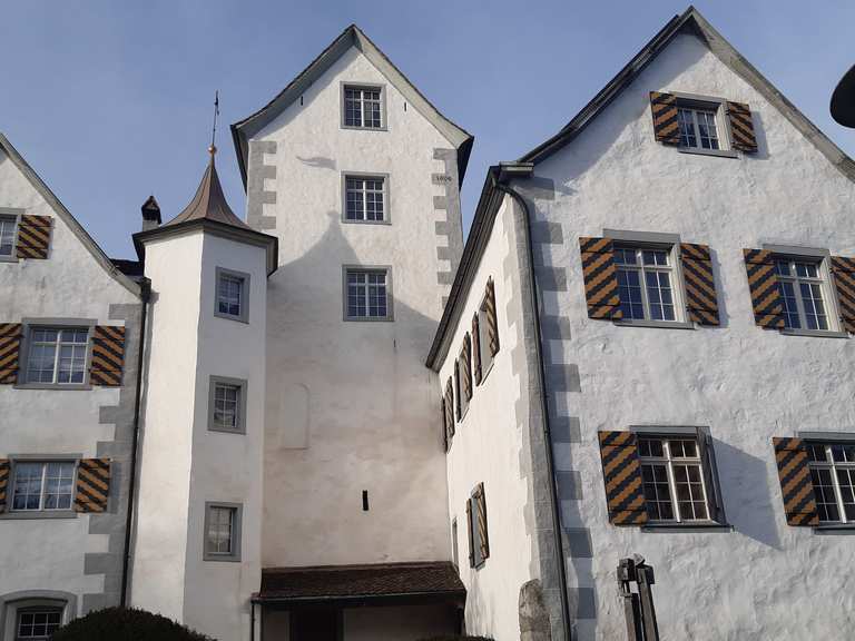 Schloss Roggwil: Mountainbike-Touren und -Trails | komoot