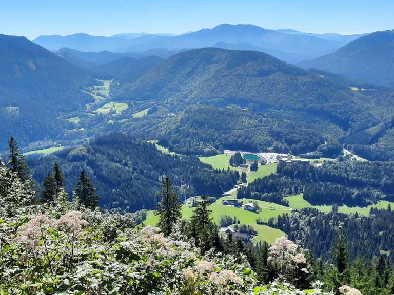 Anna-Alm: Wanderungen und Rundwege | komoot