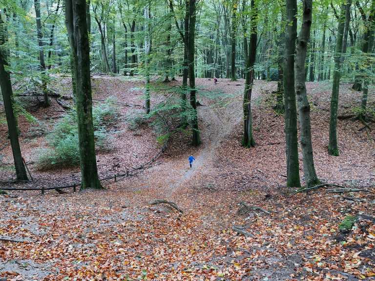 Het Solse Gat Routes for Walking and Hiking | Komoot