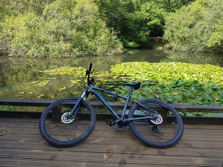 Green Ride, Epping Forest Mountain Bike Trails & Tracks | Komoot