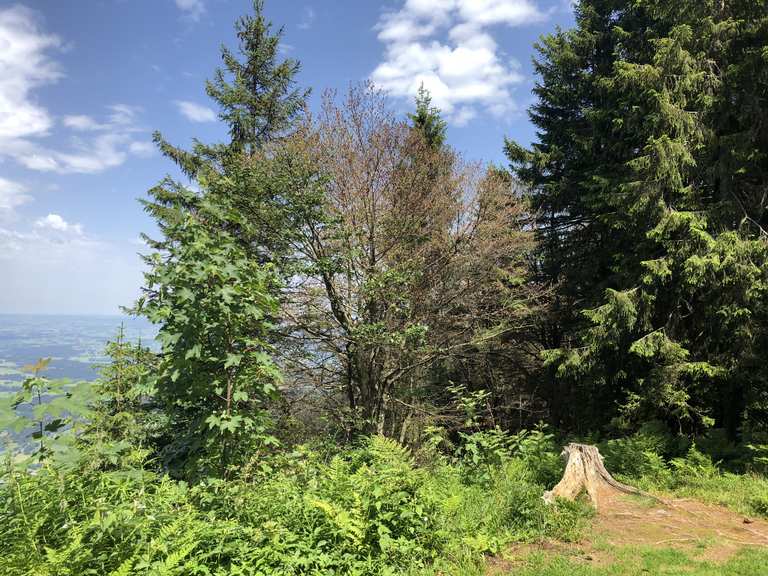 Gschwender Horn: Wanderungen und Rundwege | komoot