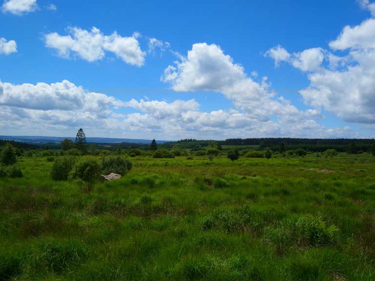 La Fagne du Fraineu - wandelroutes en hikes | Komoot