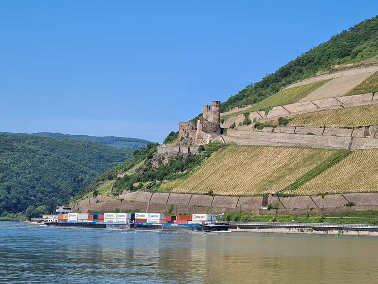 Rhein-Nahe-Eck in Bingen : Radtouren und Radwege | komoot