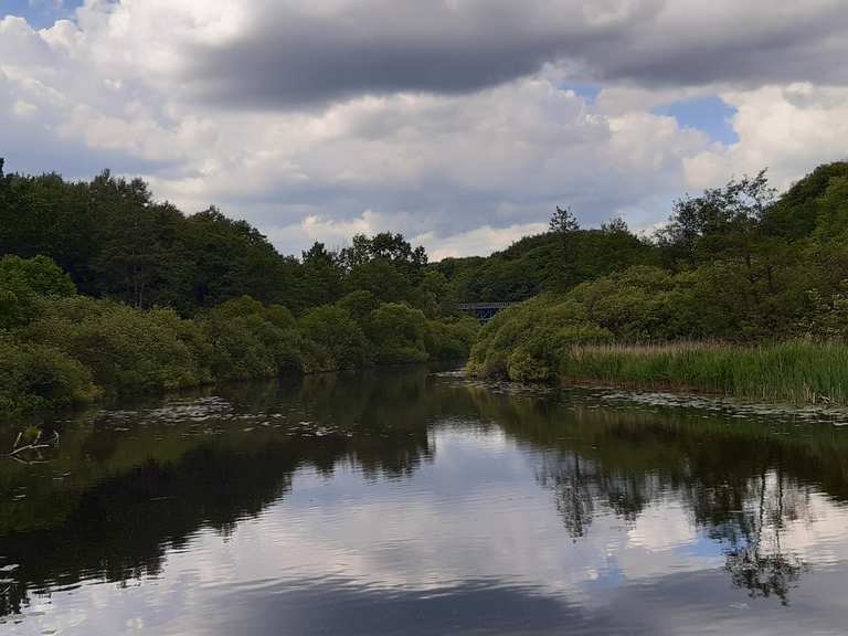 Schwentinebrücke bei Oppendorf: Mountainbike-Touren und -Trails | komoot
