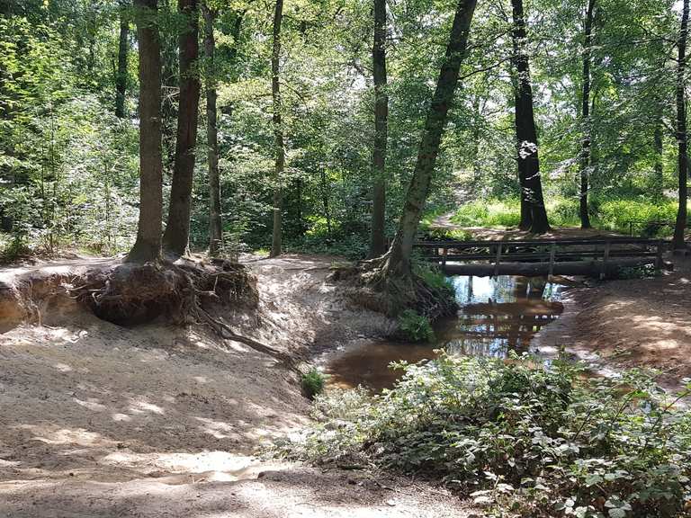 Boomstam brug wandelroutes en hikes | Komoot