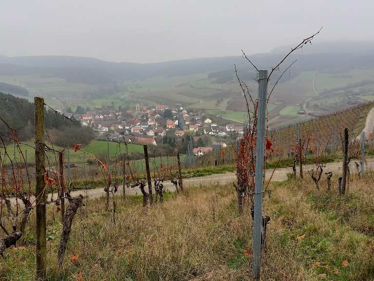 Rifugio nei vigneti del Walthertal con vista: percorsi e itinerari MTB ...