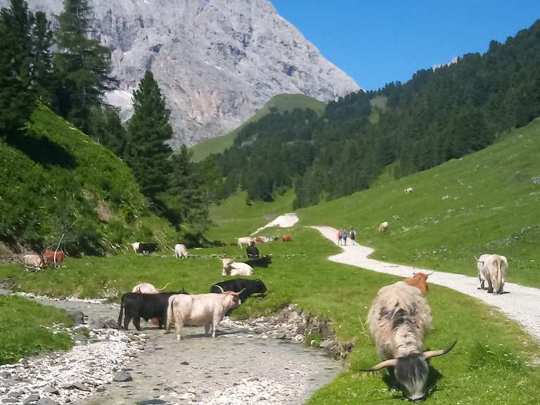 Passo Duron - Trentino, Italy | Tips & Photos for Mountain Bikers | Komoot
