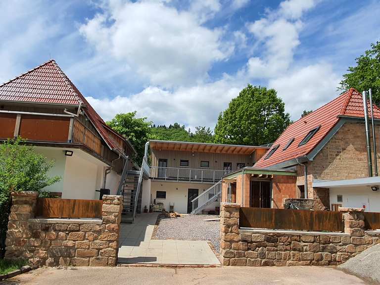 Forsthaus Annweiler/Schwarzer Fuchs Routes for Walking and Hiking | Komoot