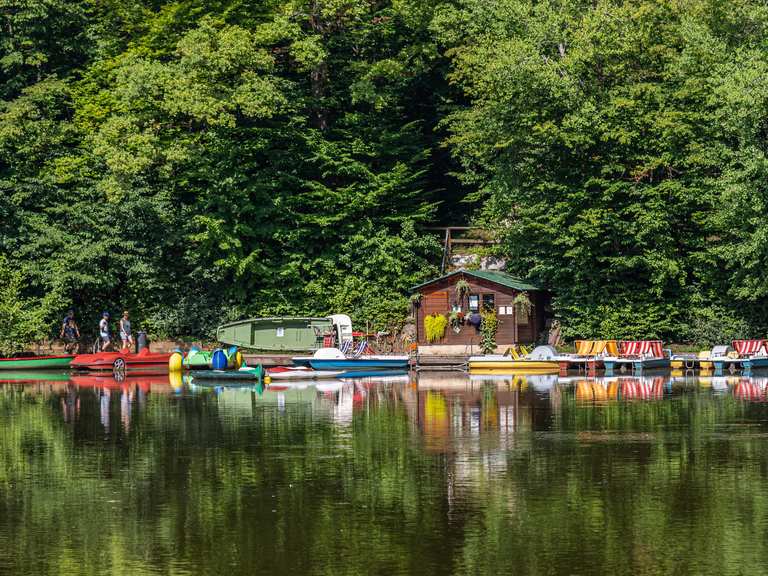 Thalersee Routes for Walking and Hiking | Komoot