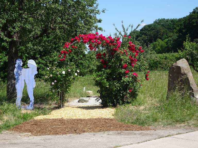 Weinberge auf dem Heuchelberg – Heuchelberger Warte Runde von Nordheim ...