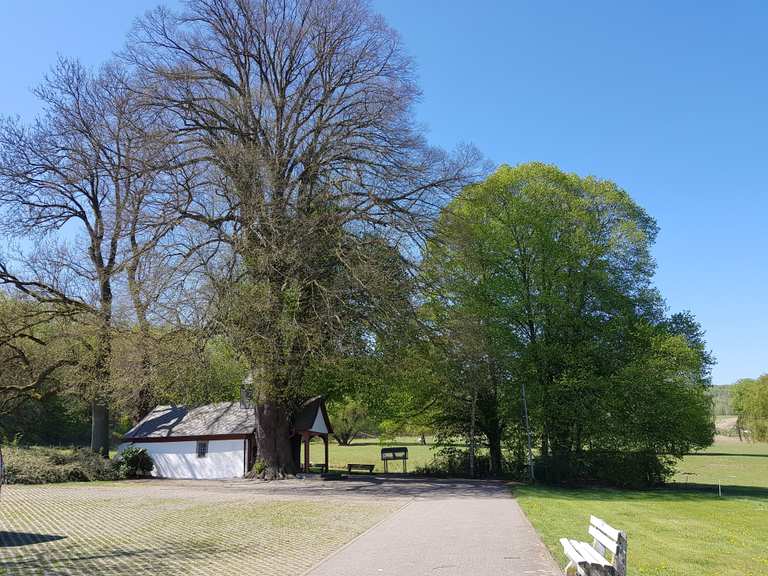 Heilborn Dernbach: Mountainbike-Touren und -Trails | komoot