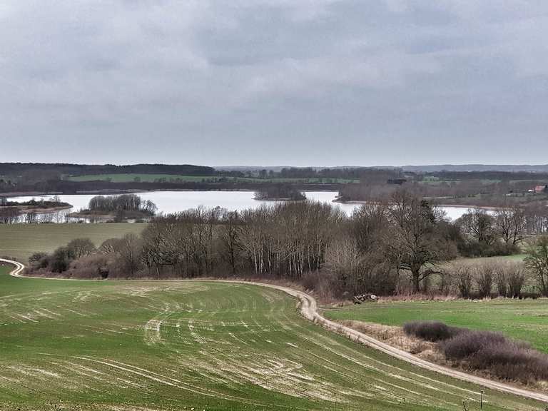 Aussichtsturm Hamberge: Mountainbike-Touren und -Trails | komoot