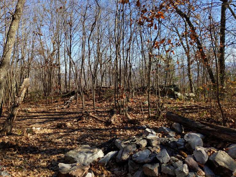 Strickler Knob via Scothorn Gap Trail — George Washington National ...