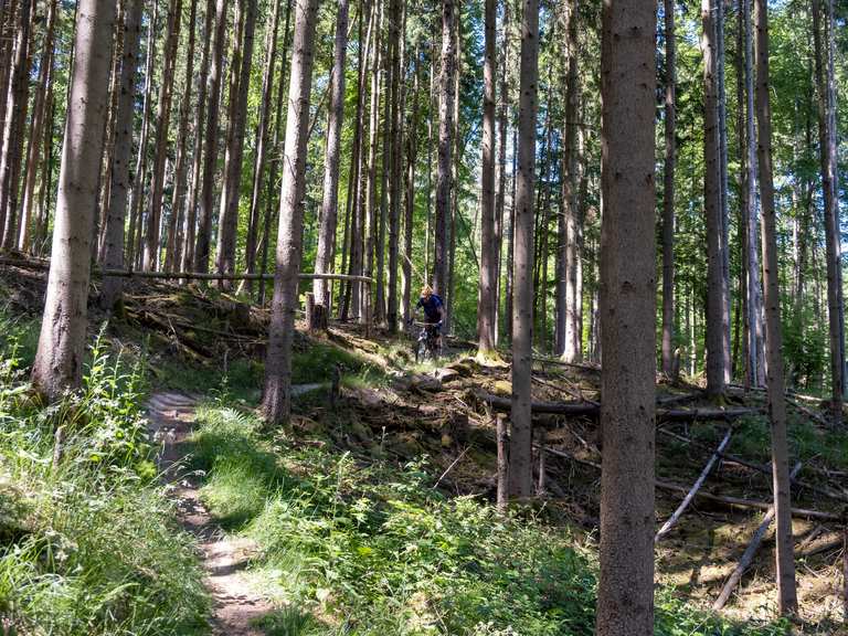 Trail Gräbele: Mountainbike-Touren | komoot