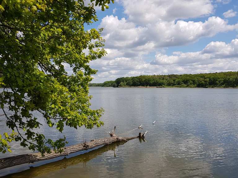 Sacrower See - Brandenburg, Germany | Hiking Tips & Photos | Komoot