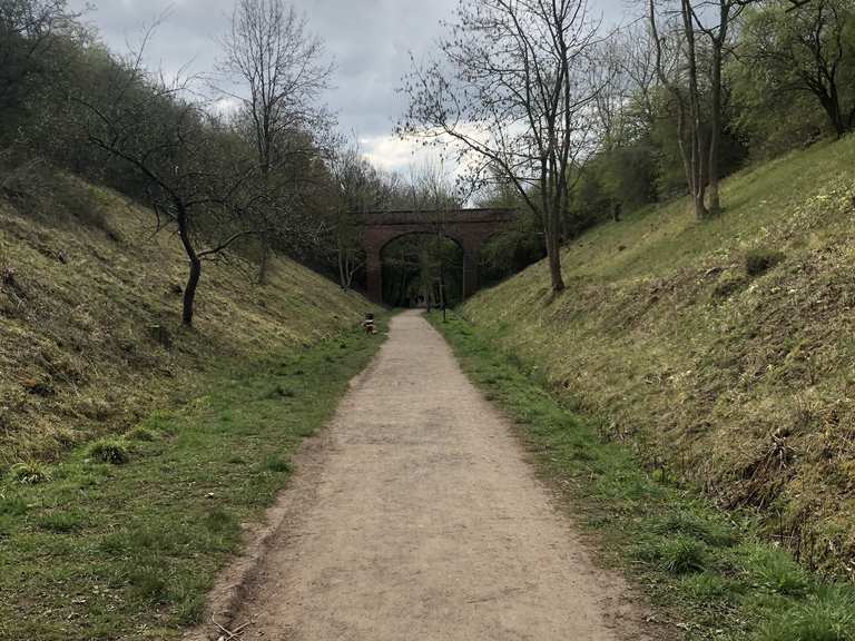 Thorpe Wood - Mountain Bike Trails & Tracks | Komoot