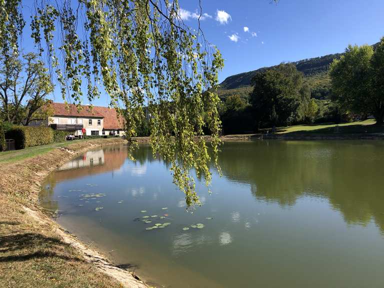 Bissinger See Routes for Walking and Hiking | Komoot