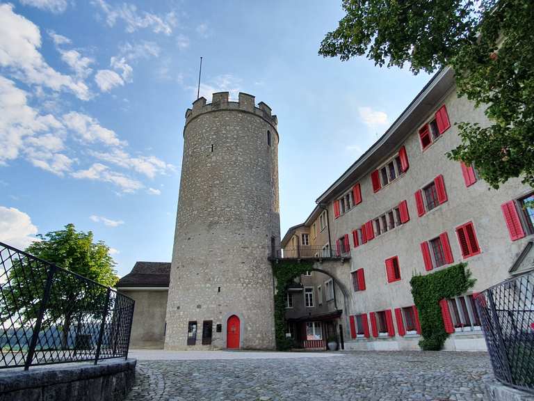 Regensberg - Itinéraires de rando et marche | Komoot