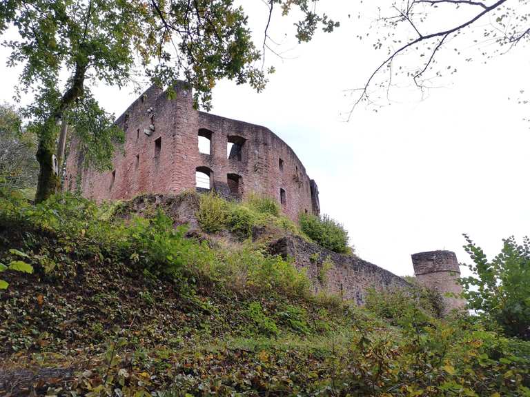 Ruine Freienstein Routes for Walking and Hiking | Komoot