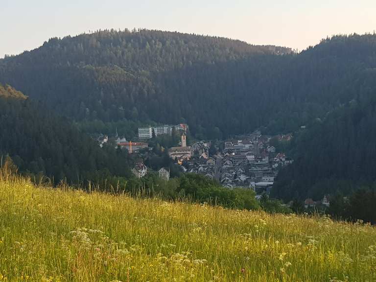 View of Triberg Routes for Walking and Hiking | Komoot