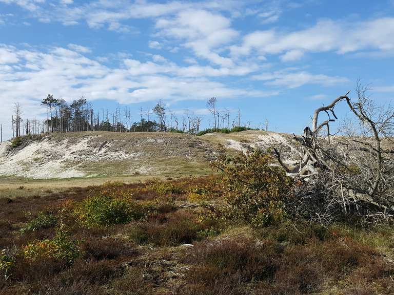 Hargen aan Zee Duinen en Heide Routes for Walking and Hiking | Komoot