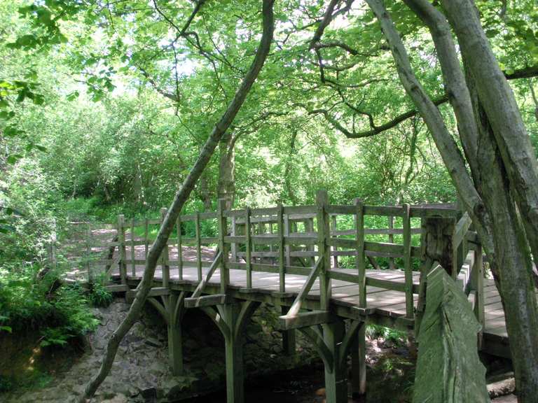 Forest Way Country Park – Over old Railroads Recorrido circular desde ...
