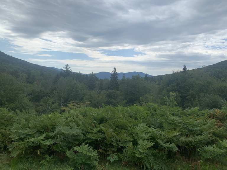 Bear Notch Road - Road Cycle Routes and Map | Komoot