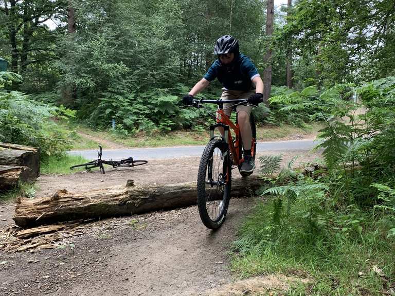 Barry Knows Best Mountain Bike Trails & Tracks | Komoot