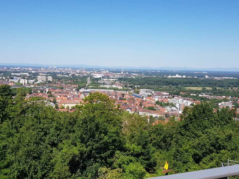 Turmberg – Aussichtspunkt und Ruinen (Karlsruhe-Durlach) – Wander ...