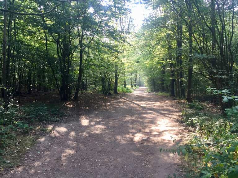 Roman Wall of St Albans – Alban Way loop from Harpenden | bike Tour ...