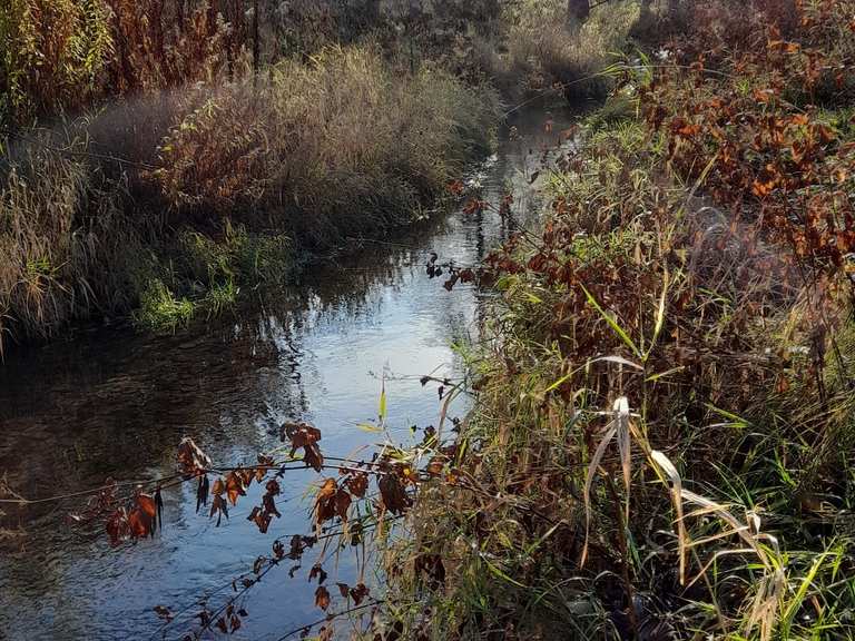 Geschwungener Weg an der Jossa: Wanderungen und Rundwege | komoot