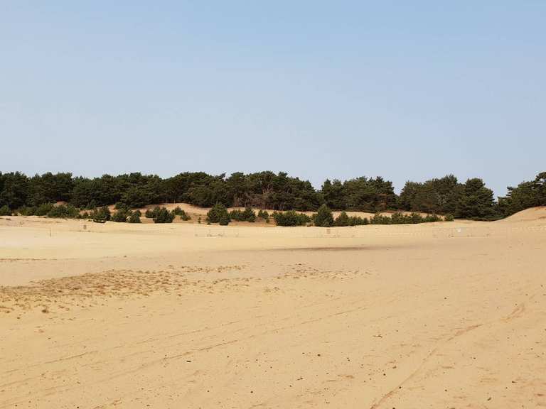 Lommelse Sahara wandelroutes en hikes | Komoot