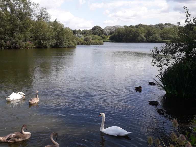 Sheepwash Nature Reserve Routes for Walking and Hiking | Komoot