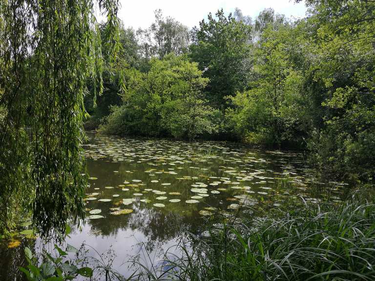 Lago encantado: Rutas de senderismo y caminatas | Komoot