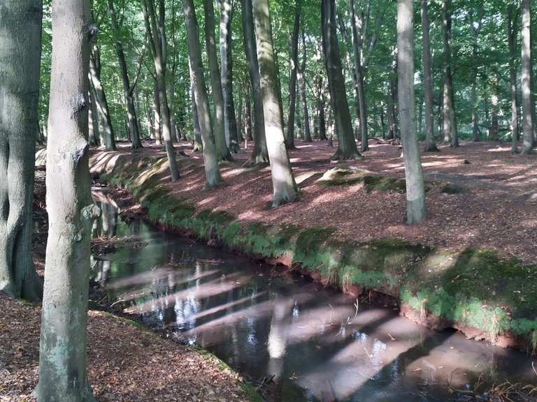 Het Peerdsbos wandelroutes en hikes | Komoot
