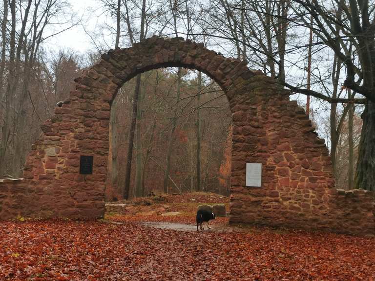 Ruine Blumenstein Routes for Walking and Hiking | Komoot