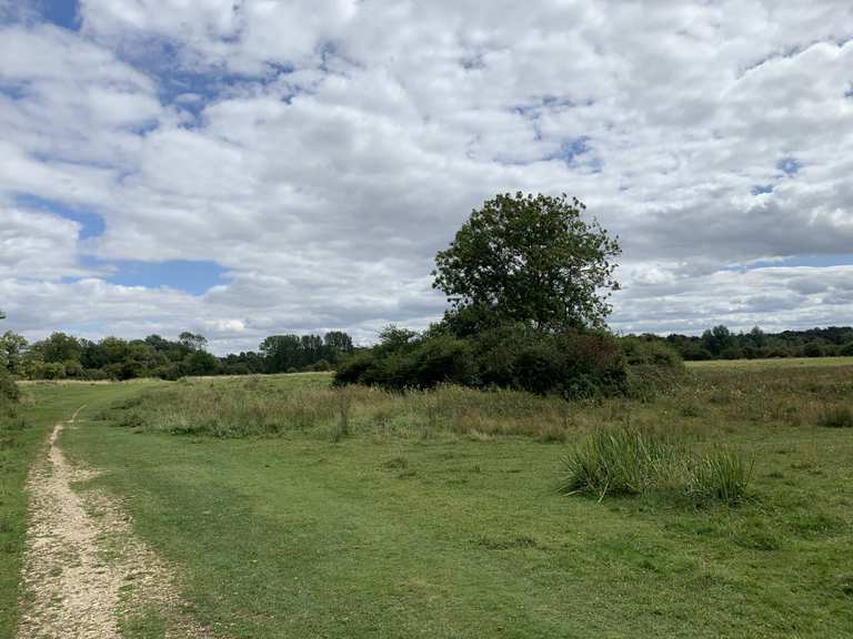 Chilbolton Cow Common Routes for Walking and Hiking | Komoot