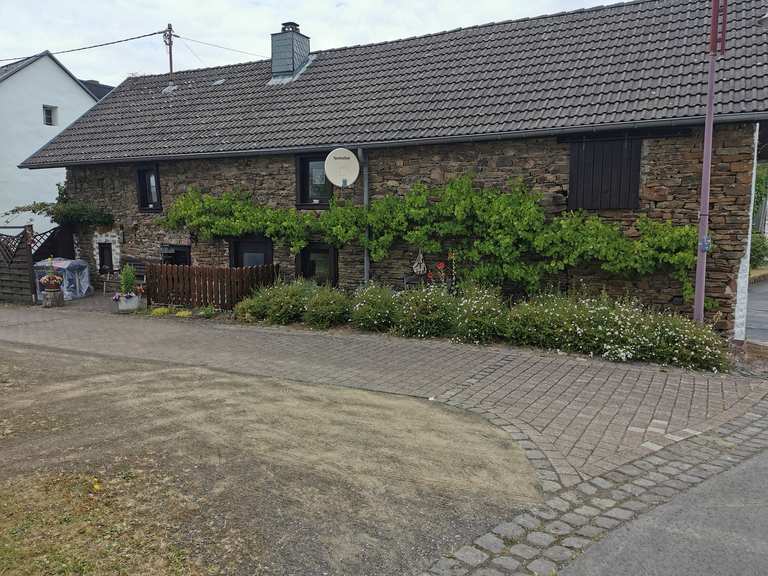 Burg Dreis in Dreis-Brück Routes for Walking and Hiking | Komoot