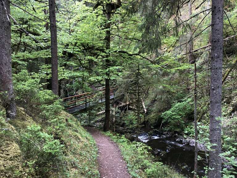 Rötenbachschlucht - wandelroutes en hikes | Komoot