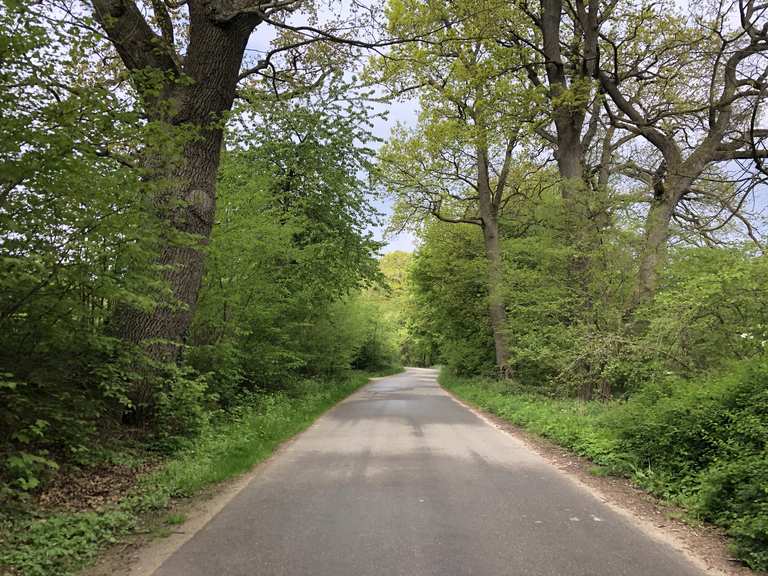 Engelau Kühren: Rennradfahren und Rennradtouren | komoot