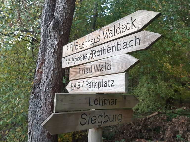 Alte Lohmarer Straße: Wanderungen und Rundwege | komoot