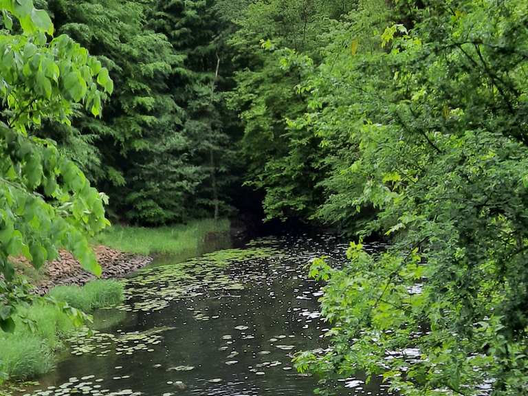 Wohldorfer Wald Routes for Walking and Hiking | Komoot