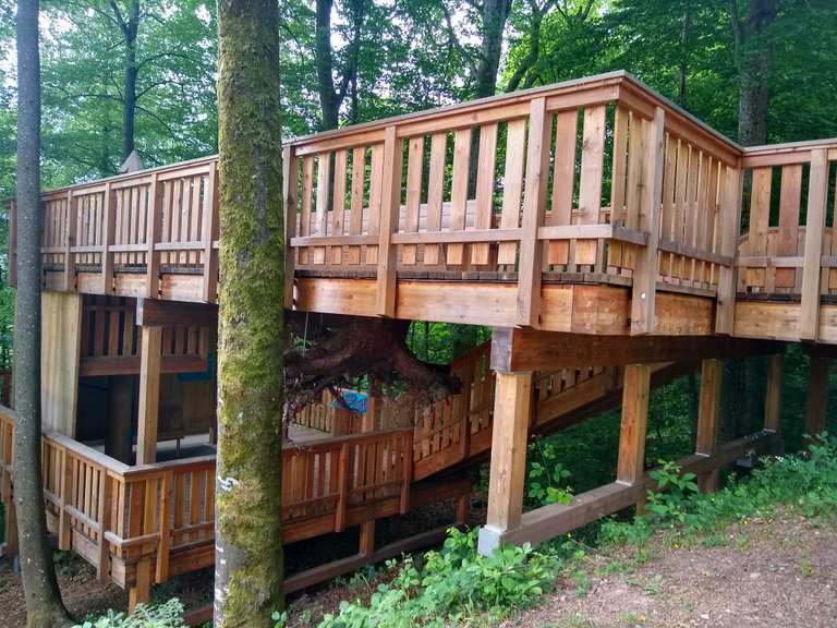 Holzplattform bei der Burg Wildenberg Routes for Walking and Hiking ...