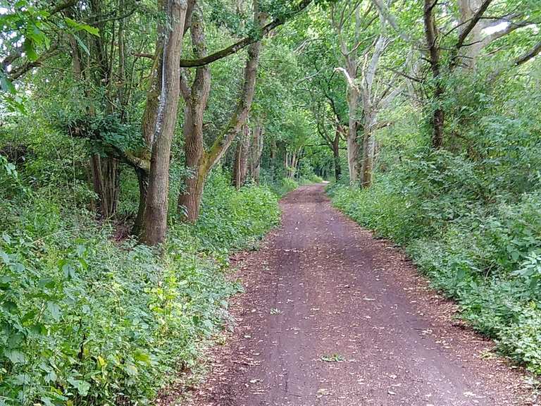 Meon Valley Trail - Cycle Routes and Map | Komoot