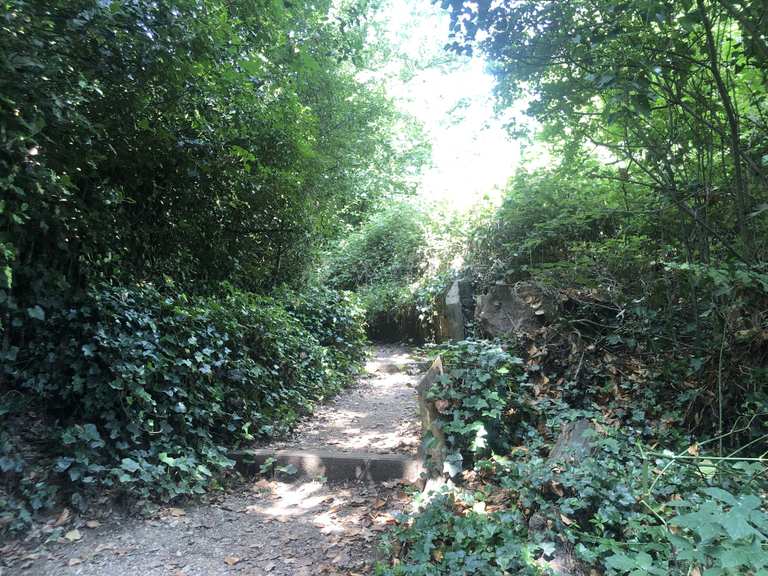 Rayleigh Mount: Wanderungen und Rundwege | komoot